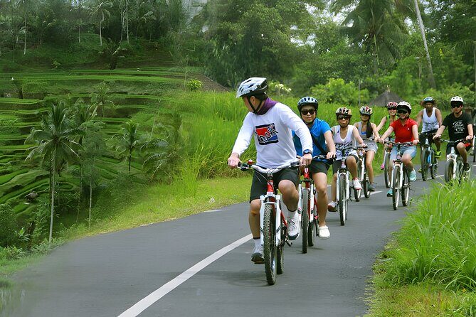 Bali Cycling and Exploring Ubud, Temple, Waterfall Tour - An Introduction to the Tour Experience
