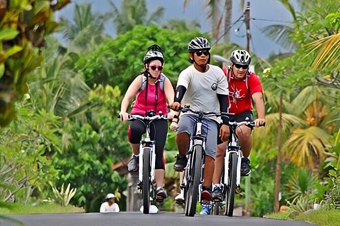 Bali Cycling and Uluwatu Tour Packages - Practicalities and Logistics