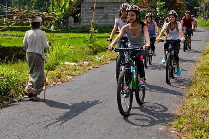 Bali Cycling Explore Village and Firefly with Lunch - A Detailed Look at the Bali Cycling Tour