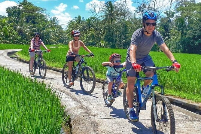 Bali Cycling Explore Village and Firefly with Lunch - Who Will Love This Experience?