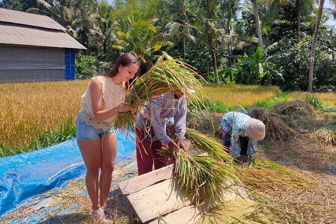Bali Cycling Rural Tour Including Hotel Pick up - An In-Depth Look at the Bali Rural Cycling Tour
