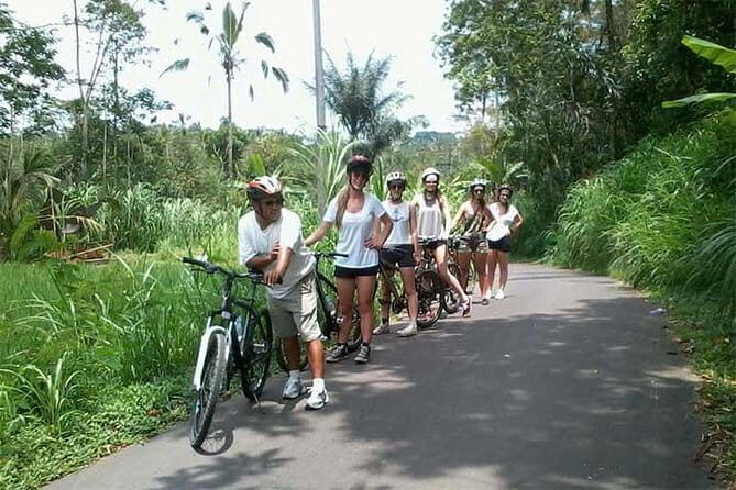 Bali Cycling Tour - The Overview: An Insightful Ride into Bali’s Heartland