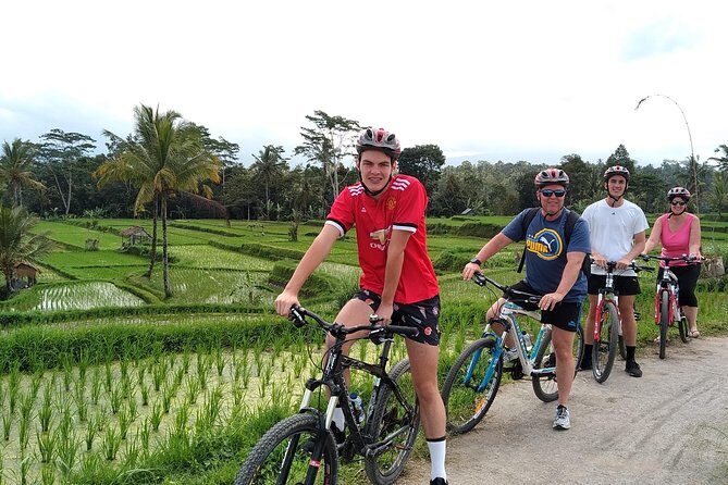Bali Cycling Tour - exploring bali countryside by bike - Detailed Review: What to Expect on the Bali Cycling Tour
