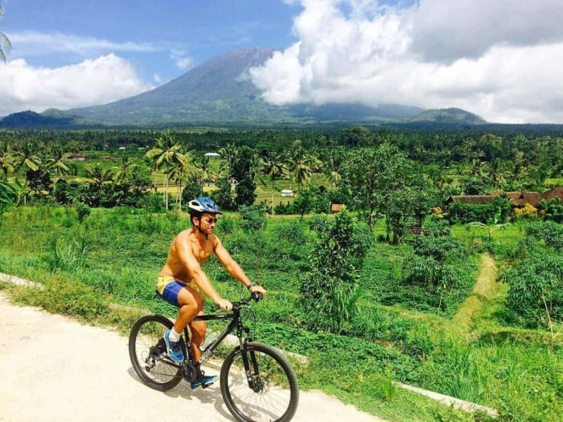 Bali: Cycling Tour with Lunch and Hotel Transfer - Key Points