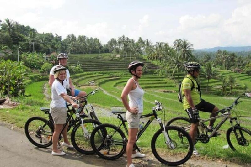 Bali: Cycling Tour with Lunch and Hotel Transfer - An In-Depth Look at the Bali Cycling Tour
