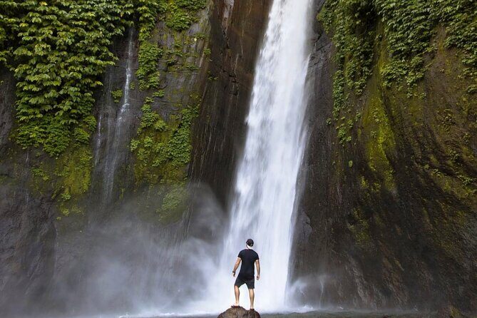 Bali Day Trip: Hidden Waterfall Tour (All Inclusive & Private) - Why Choose This Tour?