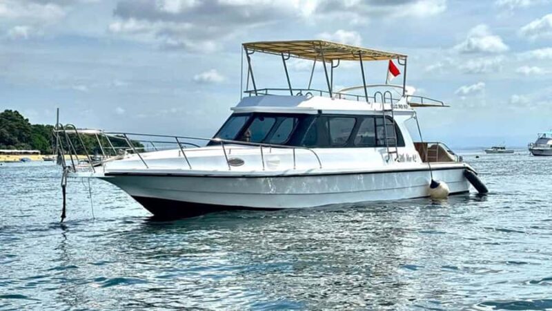 Bali Day Trip Nusa Penida with Premium Private Boat or Yacht - Who Will Love This Tour?