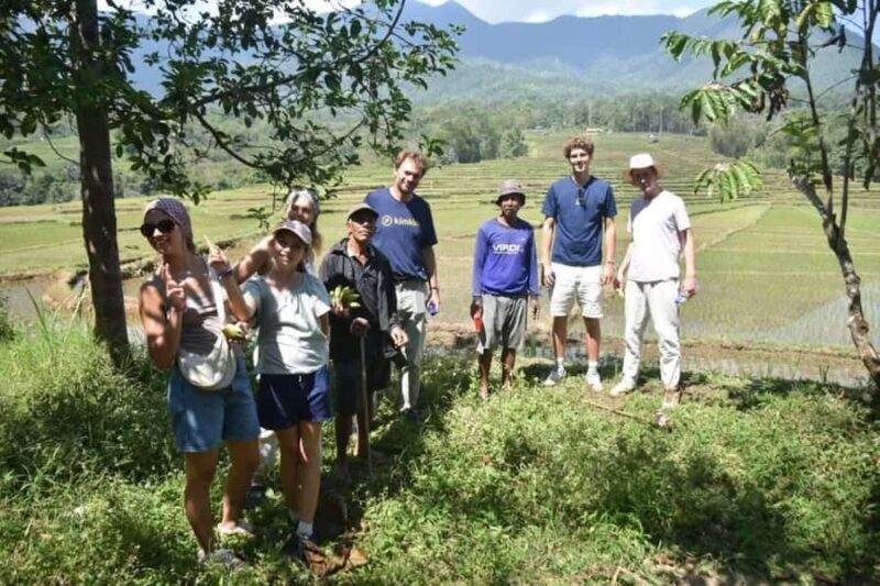 Bali: Day Trip Ubud and Tegallalang Rice Terrace Tour - Exploring the Bali Ubud and Tegallalang Rice Terrace Tour