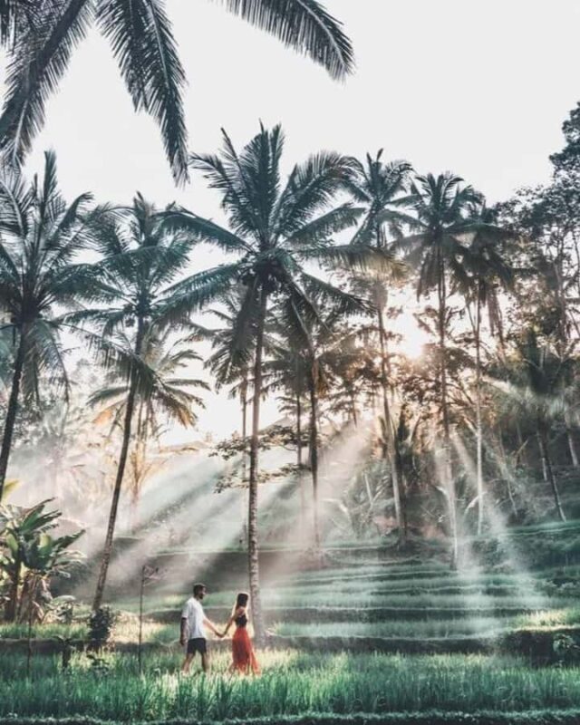 Bali: Day Trip Ubud and Tegallalang Rice Terrace Tour - Authenticity and Value