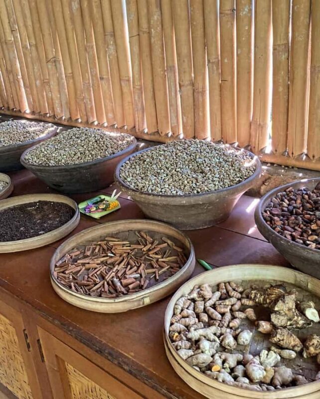 Bali : Design Your Customize Trip with Private Driver - Price and Value