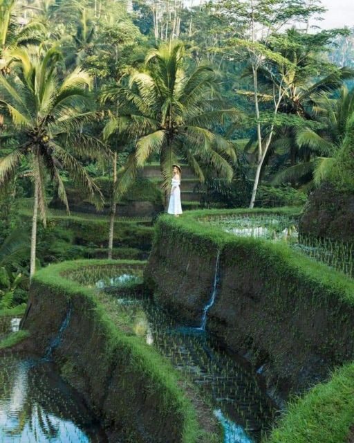 Bali : Design Your Customize Trip with Private Driver - FAQ