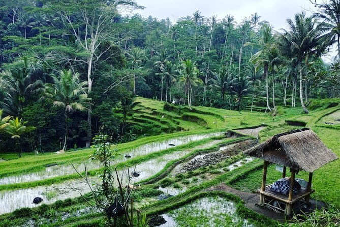 Bali Dirt Bike Enduro at Batur Volcano and Kintamani Forest - FAQs