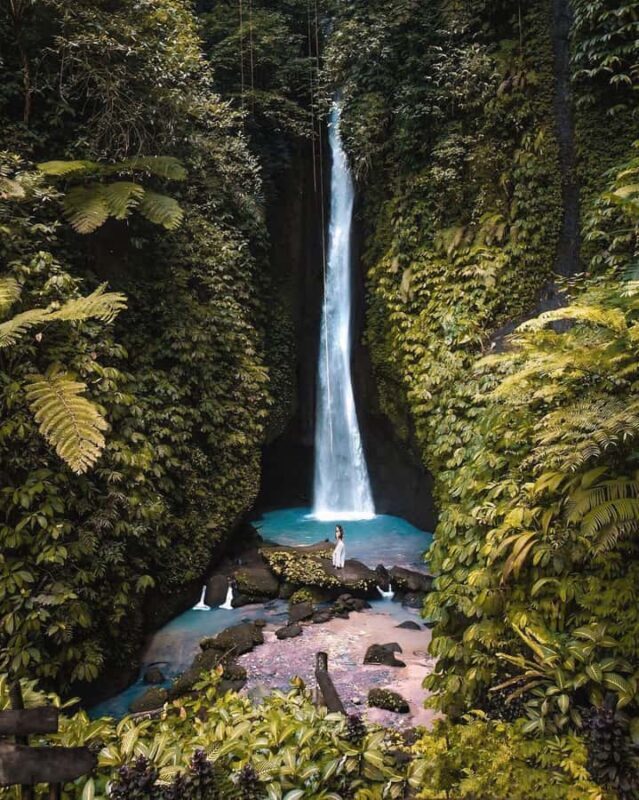 Bali: Discover Jungle Waterfalls and Rice Terraces - Key Points