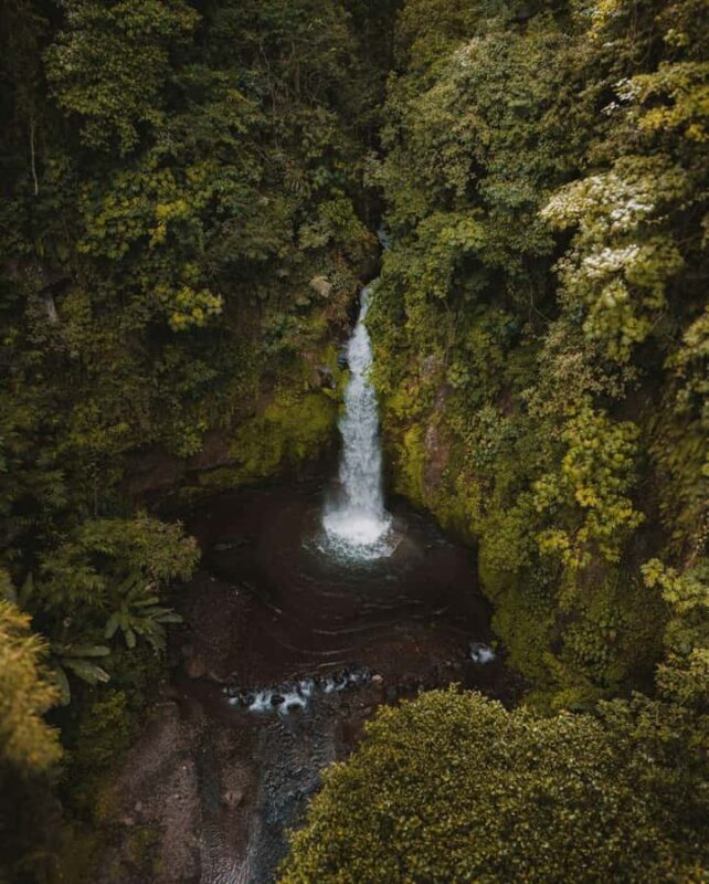 Bali: Discover Jungle Waterfalls and Rice Terraces - An In-Depth Look at the Waterfalls