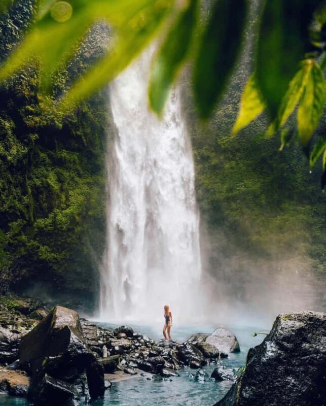 Bali: Discover Jungle Waterfalls and Rice Terraces - Overall Review Summary