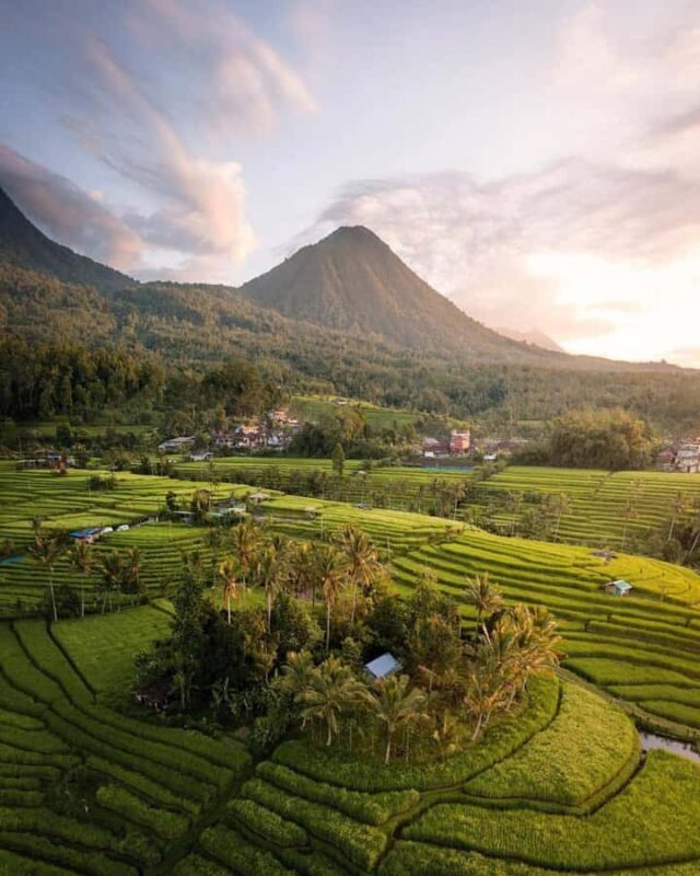 Bali: Discover Jungle Waterfalls and Rice Terraces - Who Is This Tour Best For?