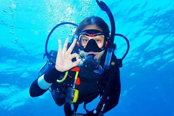 Bali Diving for Beginners: Tulamben Liberty Wreck - Why This Tour Is Worth Considering