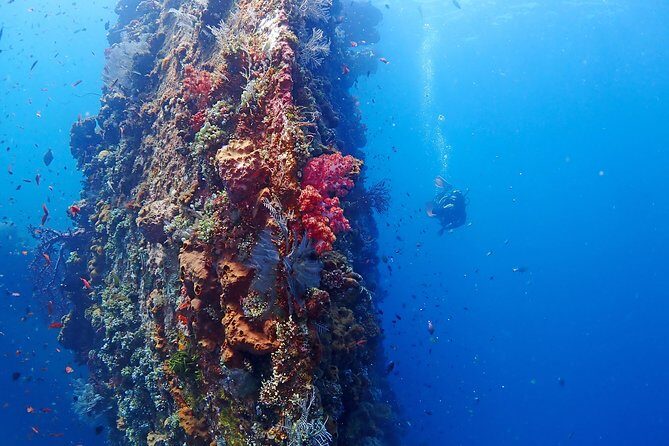 Bali Diving for Beginners: Tulamben Liberty Wreck - The Safety and Local Expertise Advantage