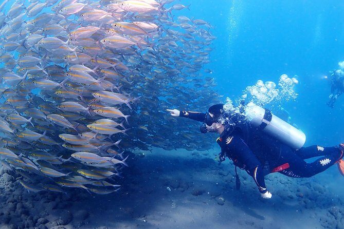 Bali Diving for Beginners: Tulamben Liberty Wreck - Pricing and Value
