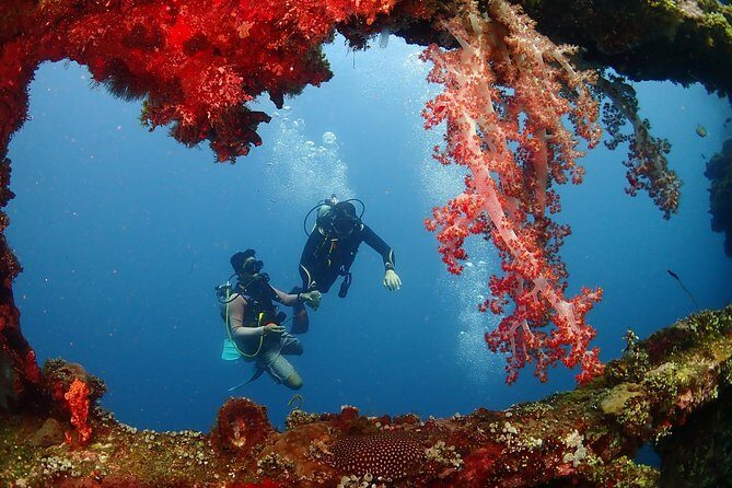 Bali Diving for Beginners: Tulamben Liberty Wreck - Who Will Love This Tour?