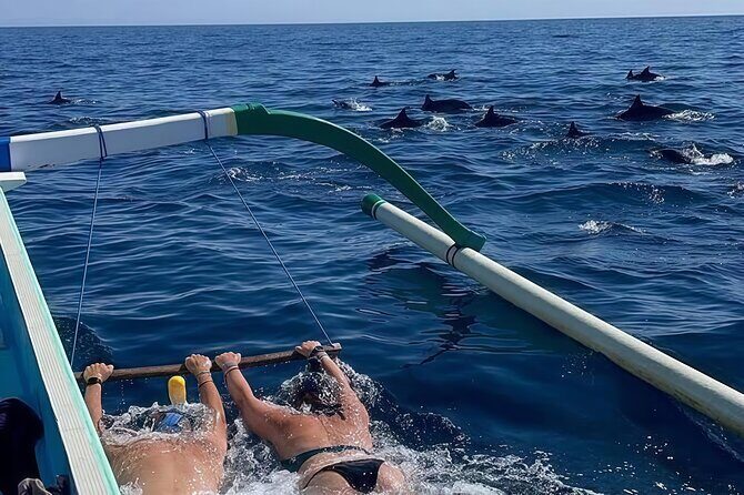 Bali Dolphin Lovina Watching, Swimming and Snorkeling Tour - Key Points