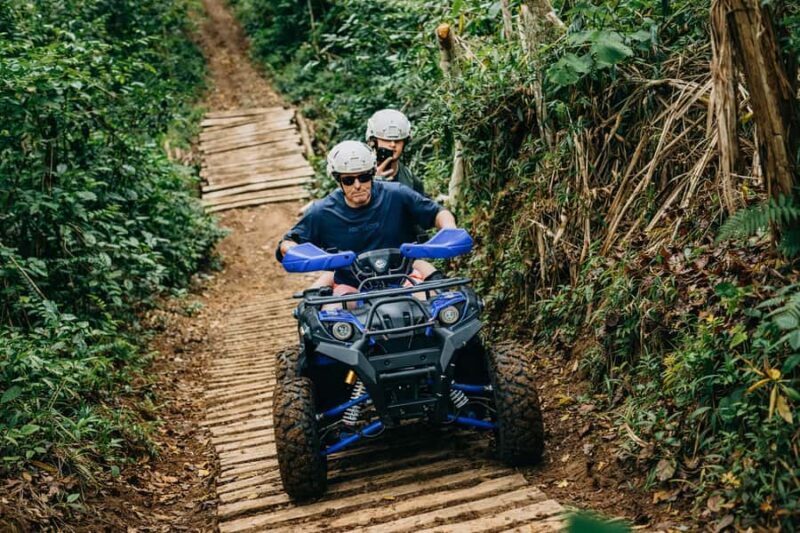 Bali: Dolphin Swimming Tour with ATV Quad Bike & Waterfall - An Introduction to the Experience