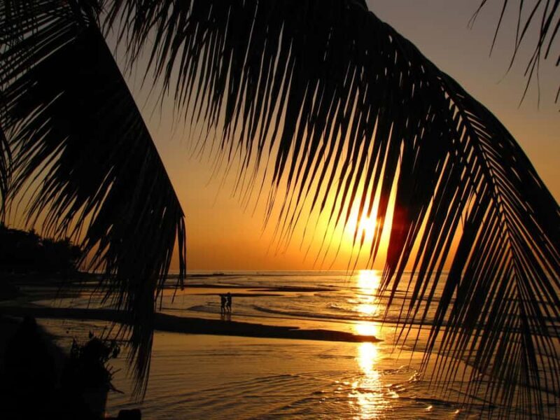 Bali: Dolphin Watching, Aling Aling Waterfall, All Inclusive - Starting Early for Dolphin Watching