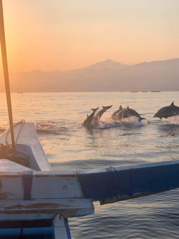 Bali: Dolphin Watching, Snorkeling, and Munduk Day Tour - What to Keep in Mind
