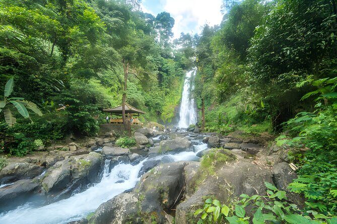 Bali Dolphin Watching Sunrise Tour in Lovina Beach - Who Should Book This Tour?
