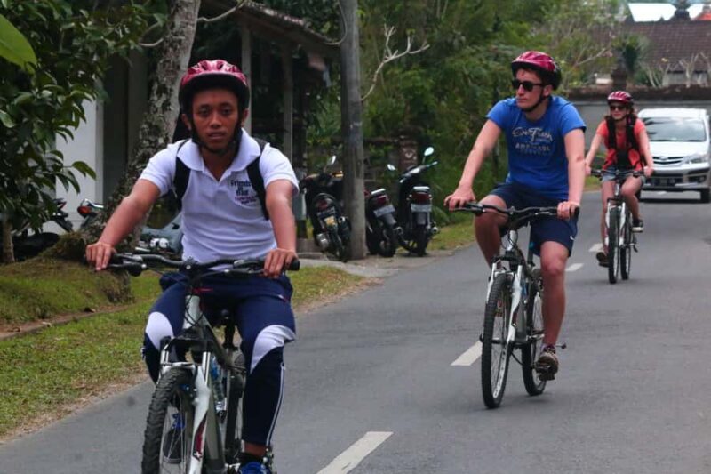 Bali Downhill Cultural Cycling Tour - Practical Details & Tips