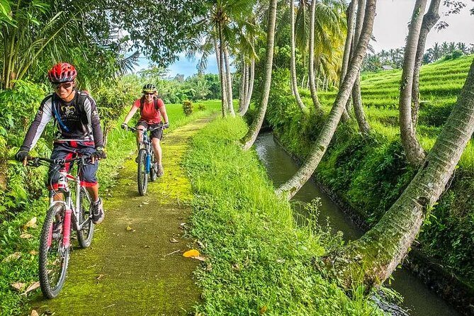 Bali Downhill Cycling and White Water Rafting - Introduction to the Tour Experience
