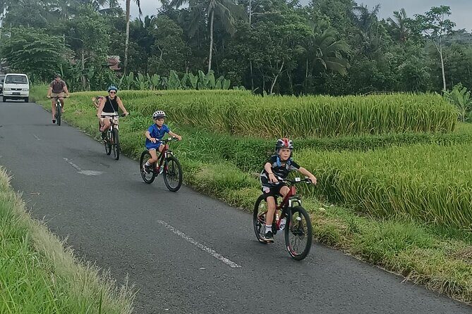 Bali Downhill Natural Cycling Tour & visit Volcano - Who Is This Tour Best For?