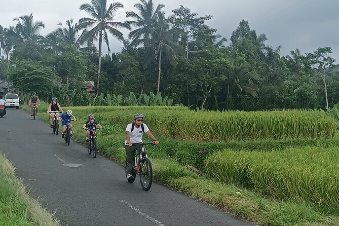 Bali Downhill Natural Cycling Tour & visit Volcano - Final Thoughts: Is It Worth It?