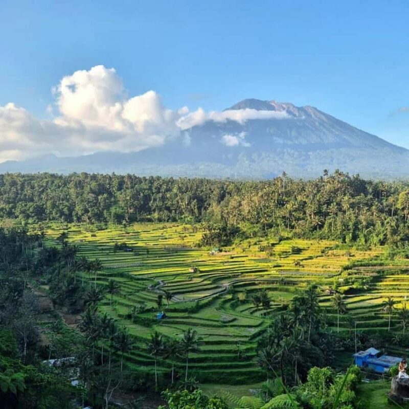 Bali: East Bali Hidden Gems Tour with Waterfall & Village - Final Thoughts: Who Will Love This Tour?