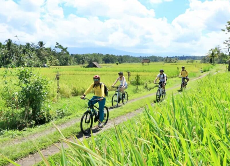 Bali Easy Countryside Cycling with Rice Fields & Local Life - FAQs