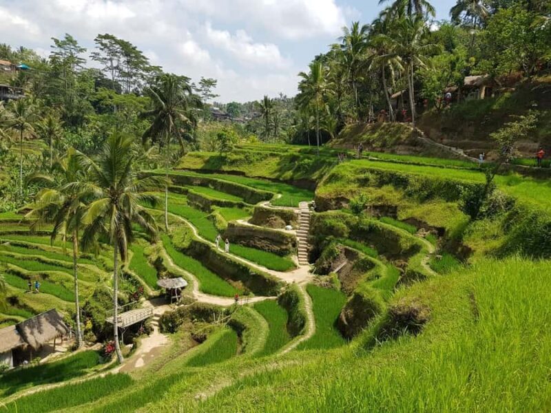 Bali Eat, Pray and Love Experience - Final Thoughts: Who Will Love This Tour?