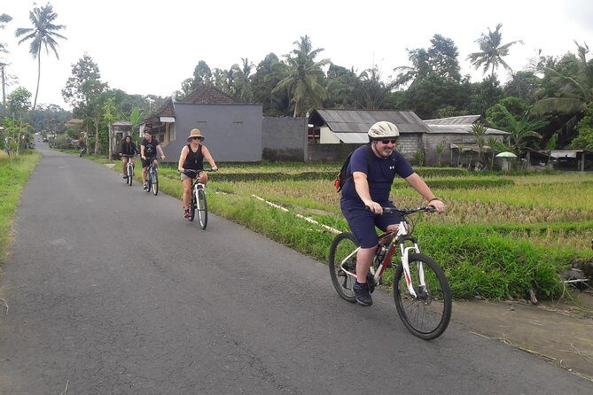 Bali Eco & Educational Cycling Tour - Is It Worth the Price?