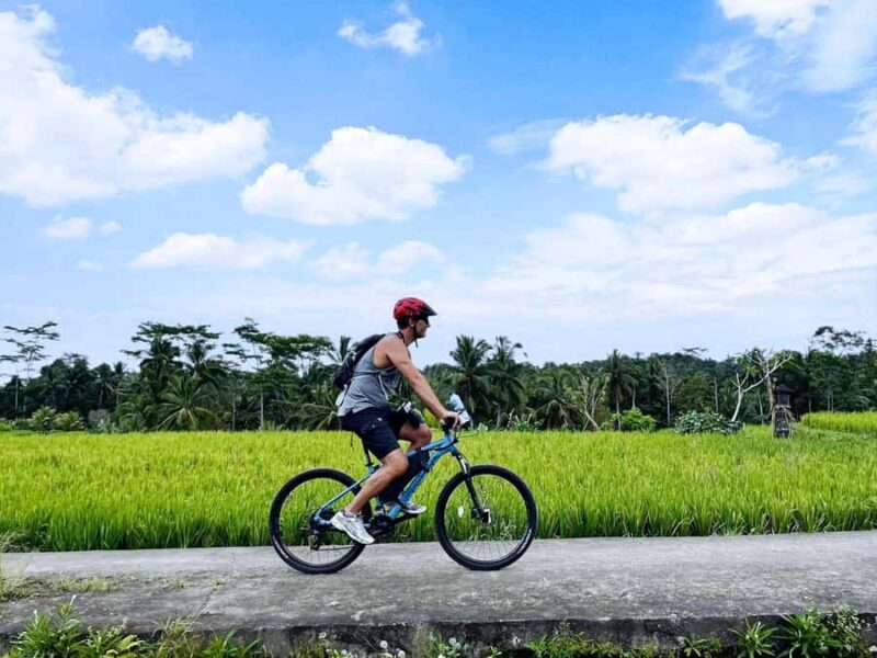Bali: Electric Bike Cycle Tour through Rice Terrace - Introduction