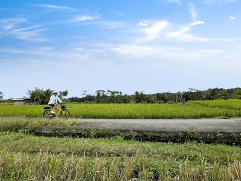 Bali: Electric Bike Cycle Tour through Rice Terrace - Key Points