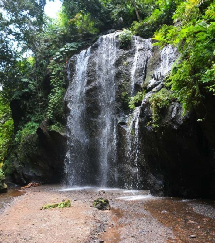 Bali Epics Journey Waterfalls Tracking Tour - The Itinerary: What You’ll Do and Why It Matters