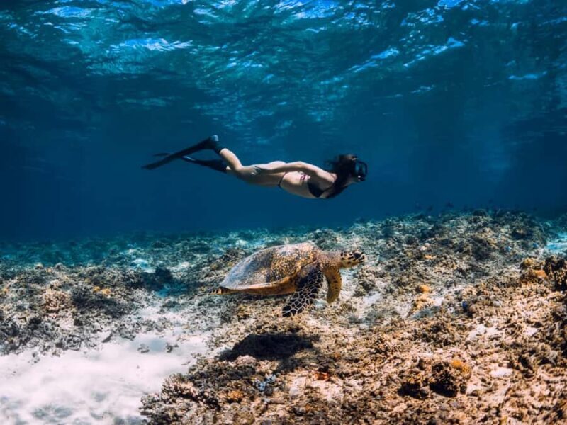 Bali: Exclusive Private Snorkeling & City Tour - A Full Review of the Bali Private Snorkeling & City Tour