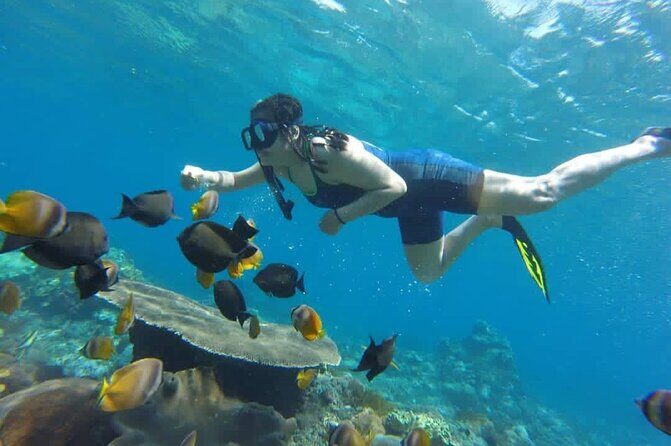 Bali Experience Blue lagoon snorkeling and hidden waterfall - Discover Bali’s Hidden Gems: Snorkeling at Blue Lagoon & Tanjung Jepun, Plus Kanto Lampo Waterfall