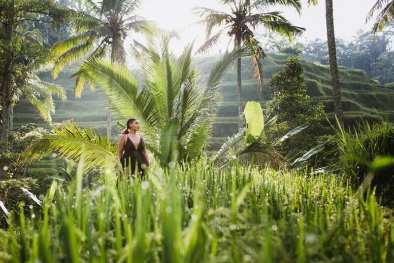 Bali : Explore Beauty of Ubud with 3 Best Tour Options - What Makes These Tours Stand Out