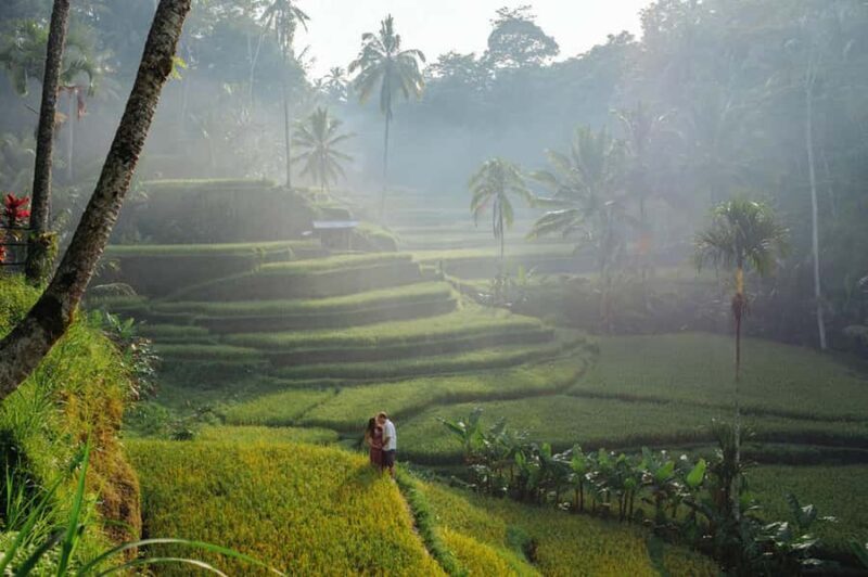 Bali : Explore Beauty of Ubud with 3 Best Tour Options - FAQ