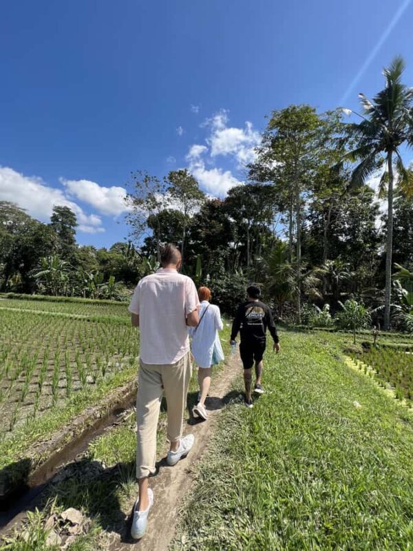 Bali: Explore the Hidden Trails of Taro Village - Key Points
