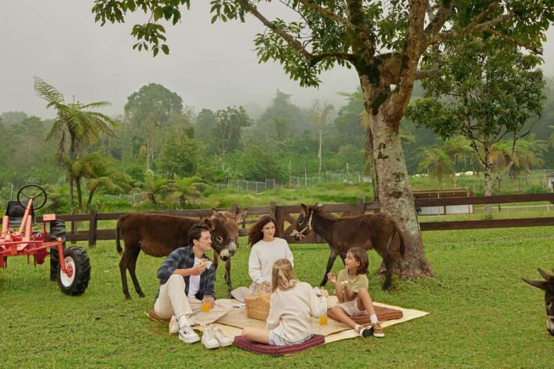 Bali: Farm House Experience with Entry Ticket & Options - What Is the Bali Farm House Experience?