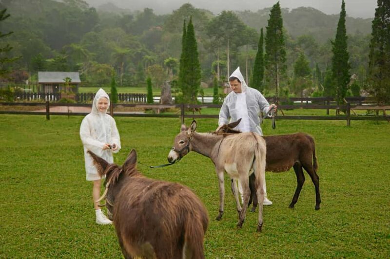 Bali: Farm House Experience with Entry Ticket & Options - Who Is This Experience Best Suited For?