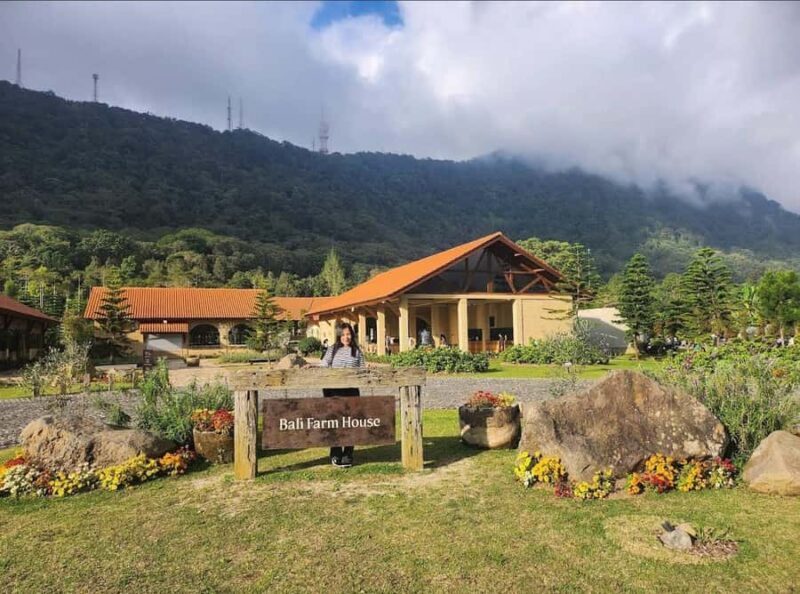 Bali: Farm House Pancasari & Strawberry Picking Tour - Key Points