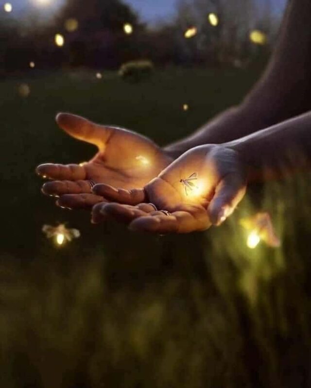 Bali: Fireflies Night, Temple, Waterfall & Rice Terrace - Manuaba Waterfall: A Refreshing Natural Retreat