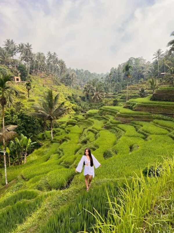 Bali: Fireflies Night, Temple, Waterfall & Rice Terrace - Practical Details and Value